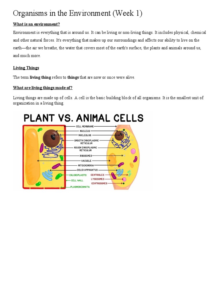 Integrated Science Notes | Download Free PDF | Seed | Germination