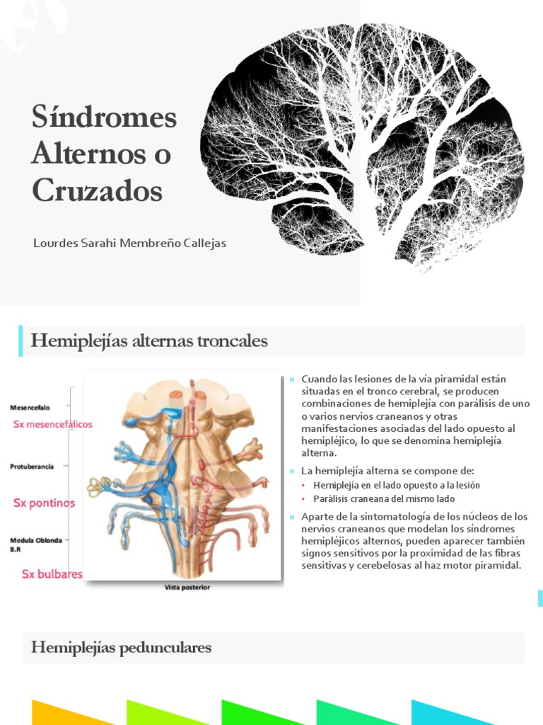 Síndromes Alternos o Cruzados .. | PDF | Desórdenes neurológicos ...