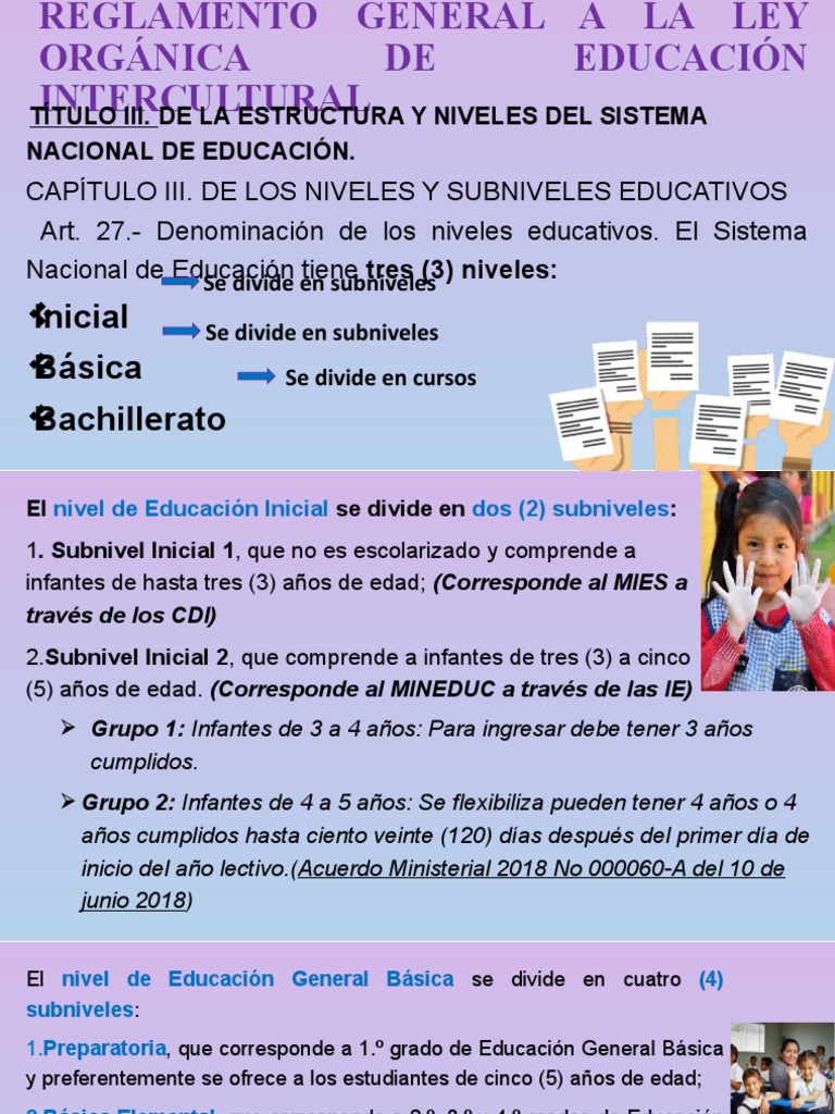 Niveles y Subniveles Educativos | PDF
