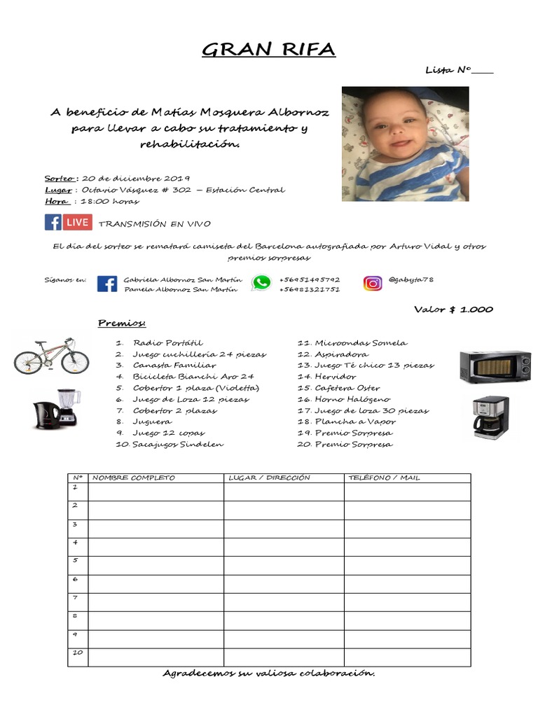 Gran Rifa A Beneficio | PDF
