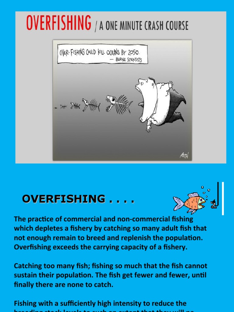 The Dangers of Overfishing: Understanding the Causes and Impacts on ...