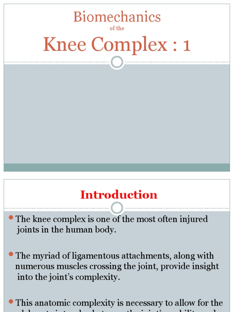 Knee Complex: 1: Biomechanics | PDF | Knee | Anatomical Terms Of Location