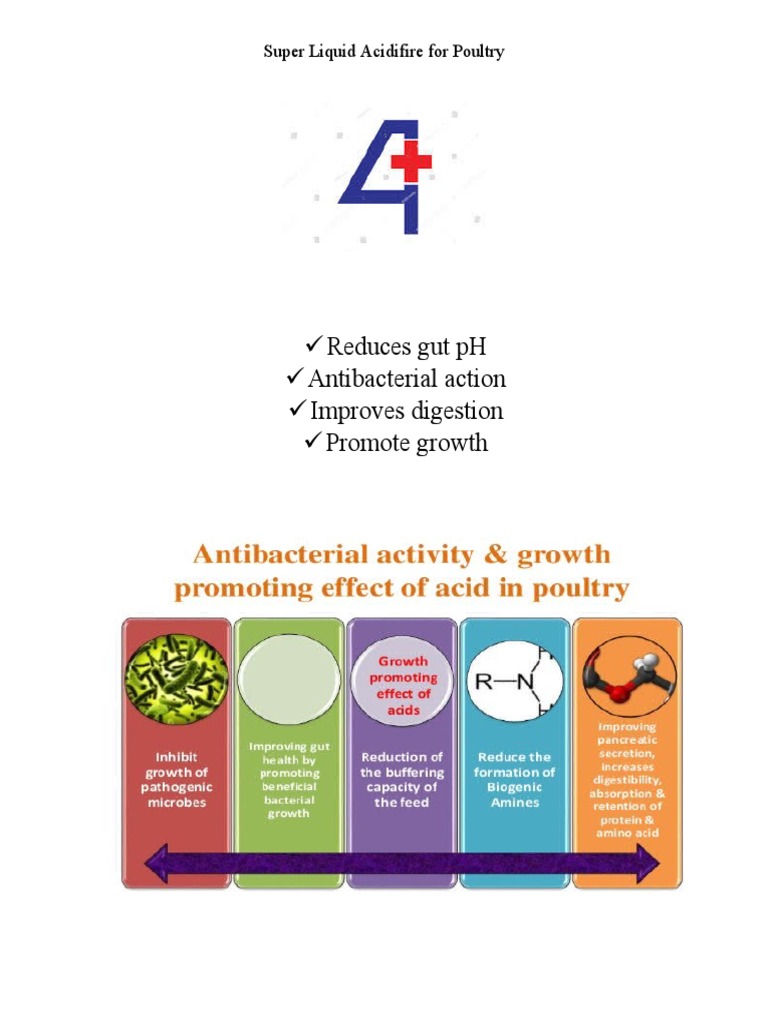 Reduces Gut PH Antibacterial Action Improves Digestion Promote Growth ...