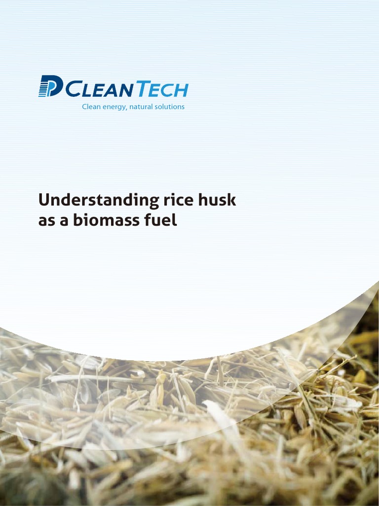 Understanding Rice Husk As A Biomass Fuel EN V1 2013.9.4 | PDF ...