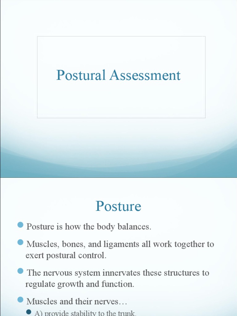 Postural Assessment | PDF | Pelvis | Anatomical Terms Of Motion