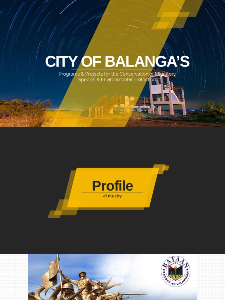 Balanga City | PDF | Nature | Business
