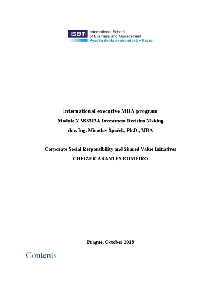 International Executive MBA Program: Module X 3BS313A Investment ...