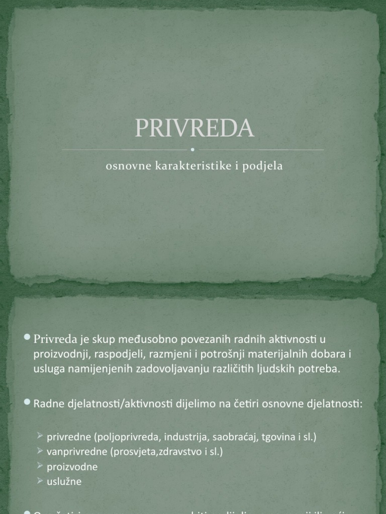 Privreda CG | PDF