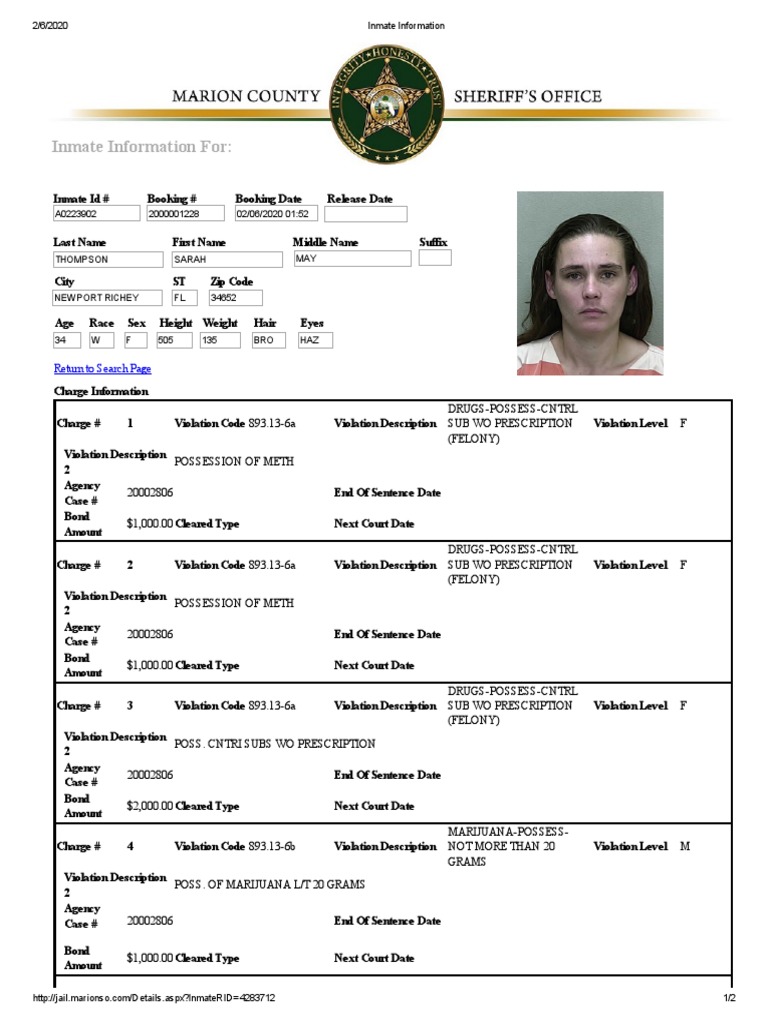 MCSO Inmate Information - Sarah May Thompson | PDF | Crime & Violence ...