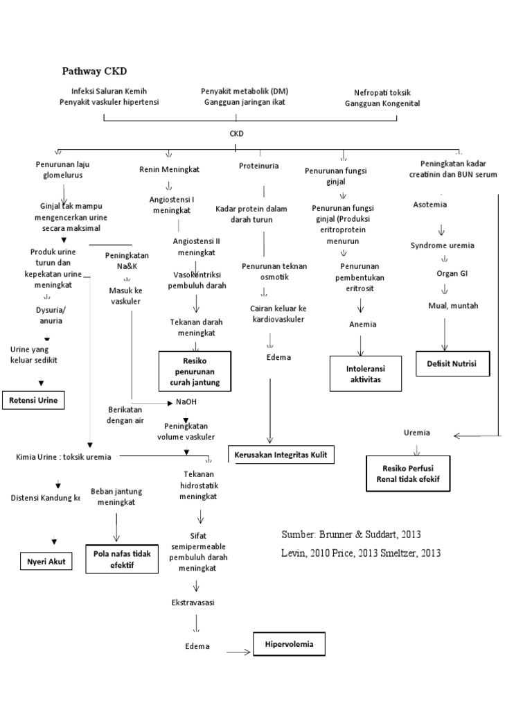 Pathway CKD HD | PDF