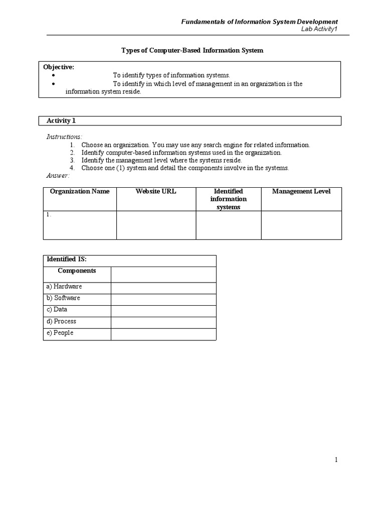 Types of Computer-Based Information System Objective:: Instructions ...
