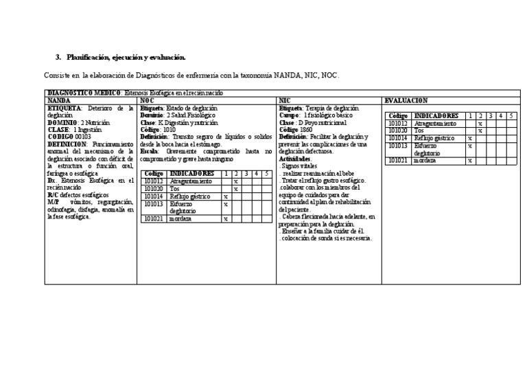 Esquema Del Nanda Noc y Nic | PDF | Gastroenterología | Especialidades ...