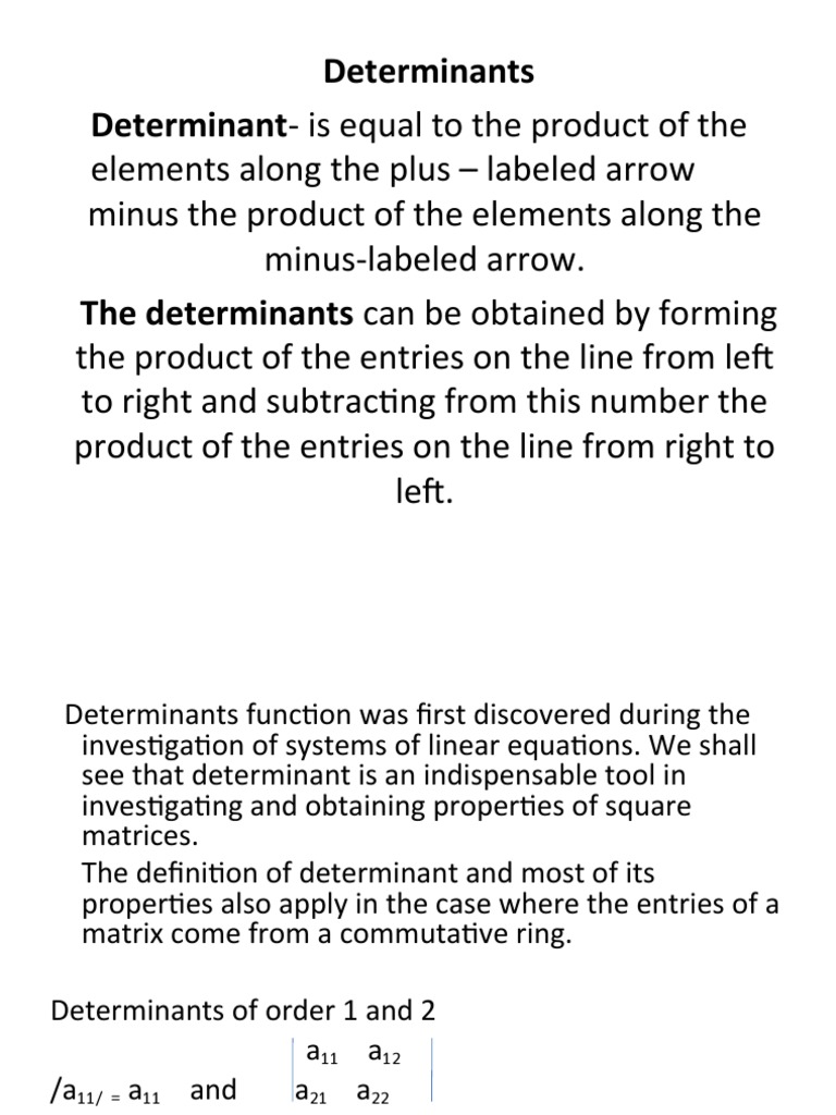 Linear Algebra Report | PDF | Determinant | Matrix (Mathematics)