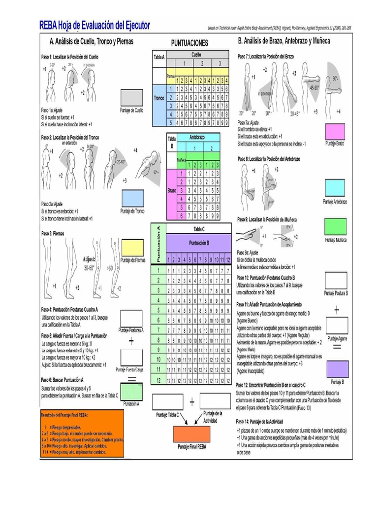 Formulario Metodo REBA PDF | PDF