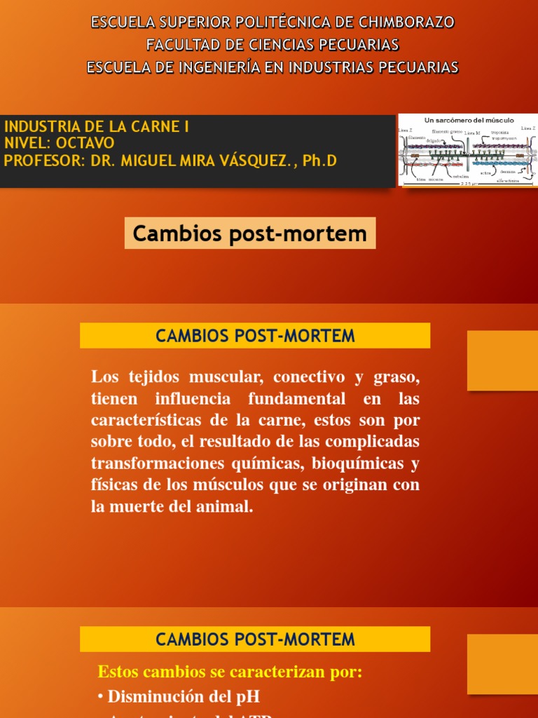 Cambios Post-Mortem 5 | PDF | Fosforilación | Trifosfato de adenosina