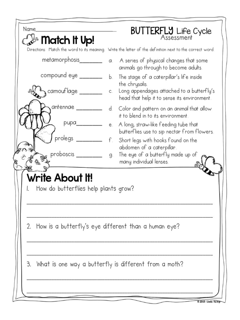 Butterfly Test | PDF | Butterfly | Insects And Humans