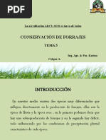 Visita Al Rastro | PDF | Carne | Matadero