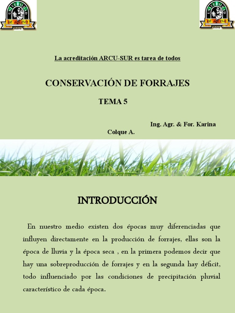 Conservacion de Forrajes | PDF | Heno | Melaza