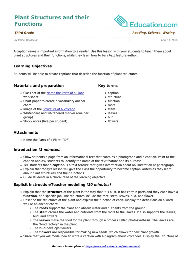 Plant Structures and Their Functions: Learning Objectives | PDF ...