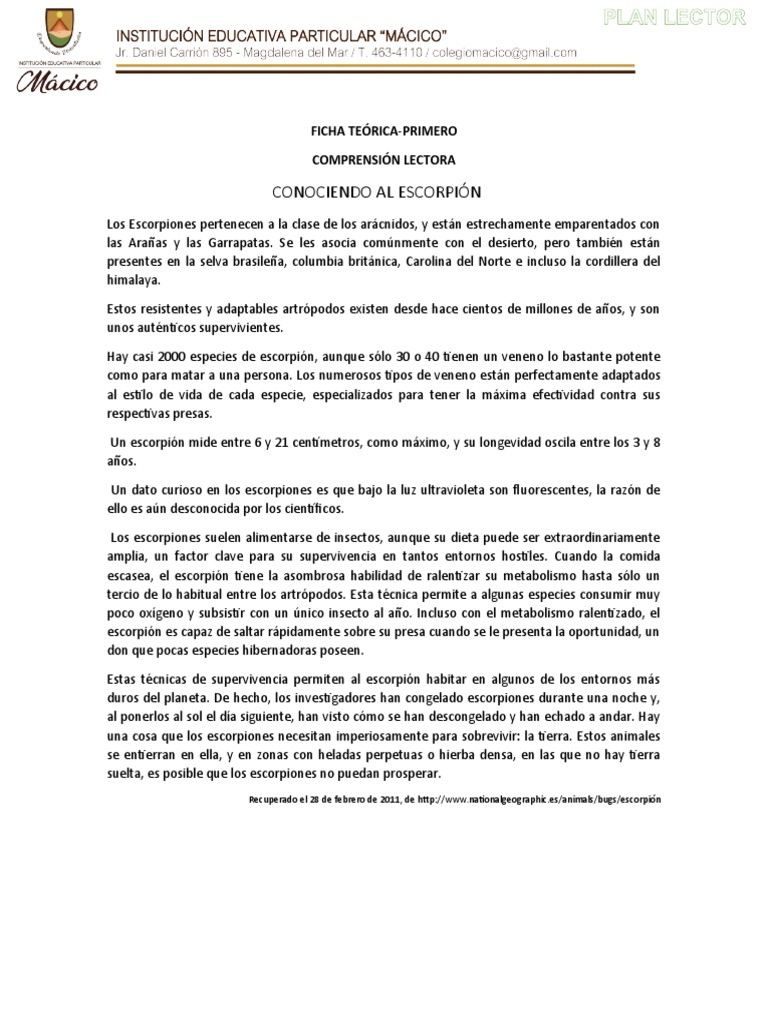 Plan Lector - Ficha Teórica - Tema 7 - 1sec | PDF | Insectos | Tierra