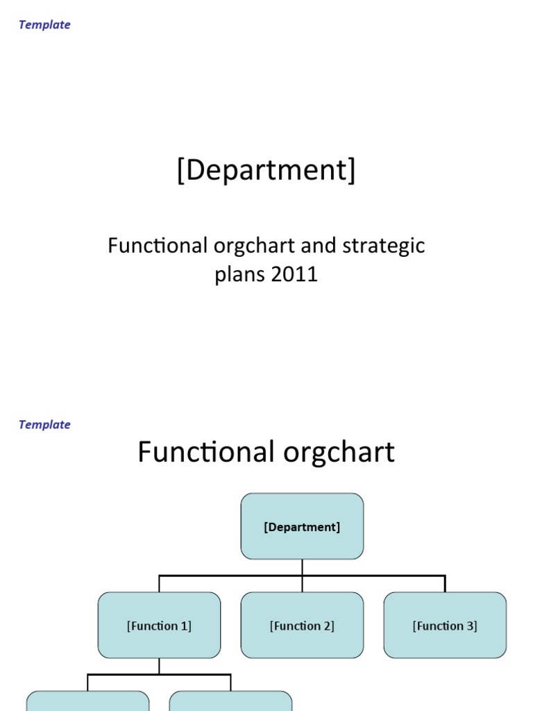 Strat Plan Template (2010!12!20) | PDF | Mass Media | Communication