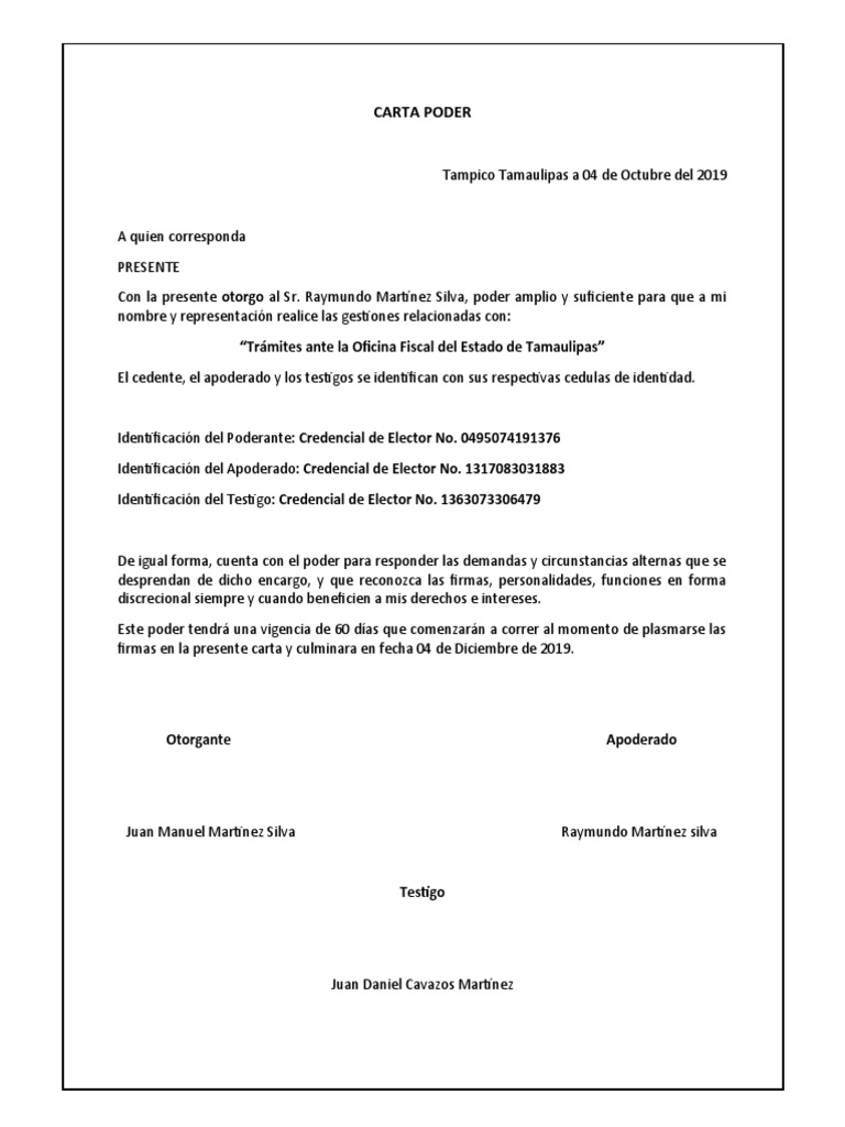 CARTA PODER Editable | PDF
