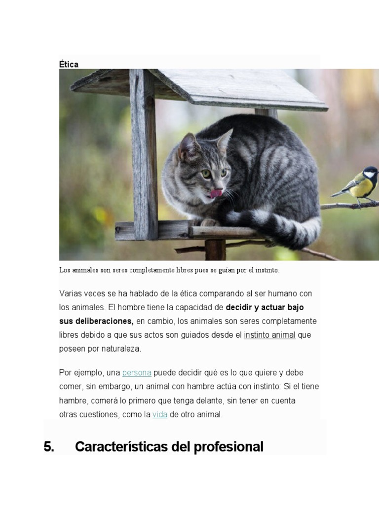 Ejemplos de ética animal en la práctica | PDF