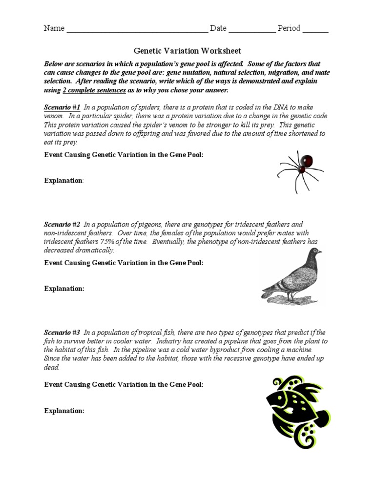 Genetic Variation Worksheet Scenarios | PDF