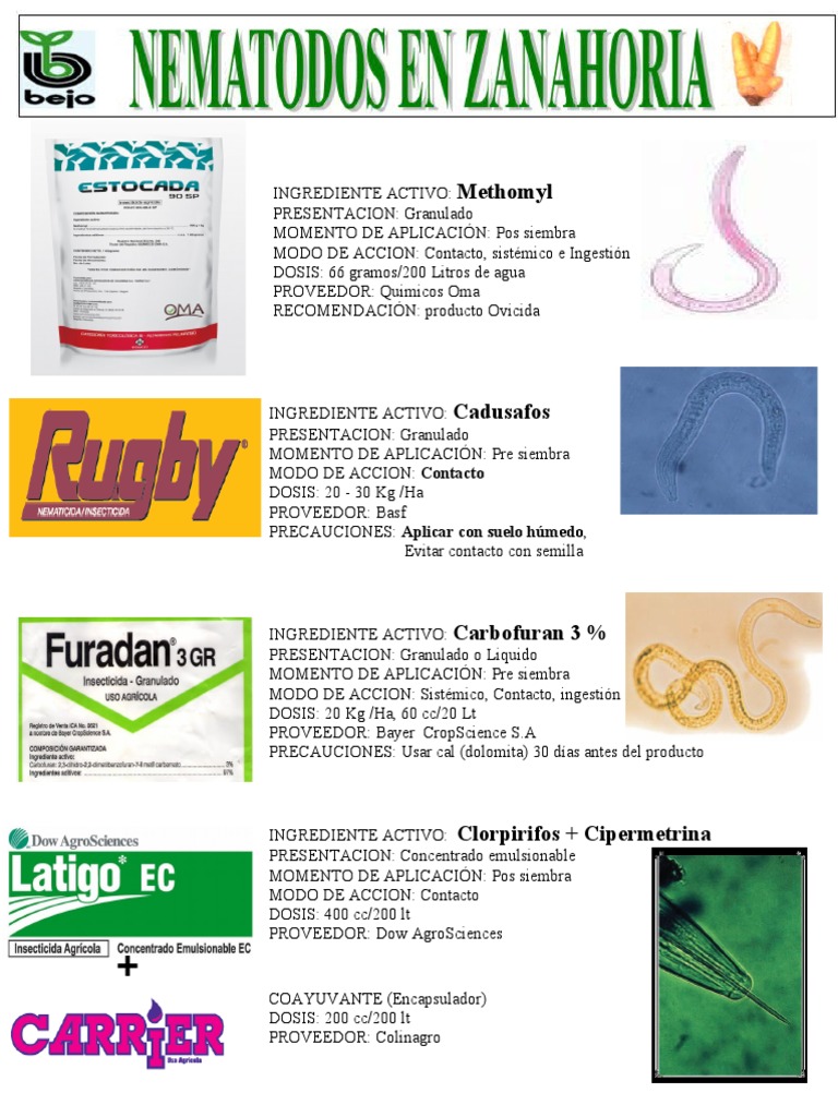 Control Nematodos | PDF