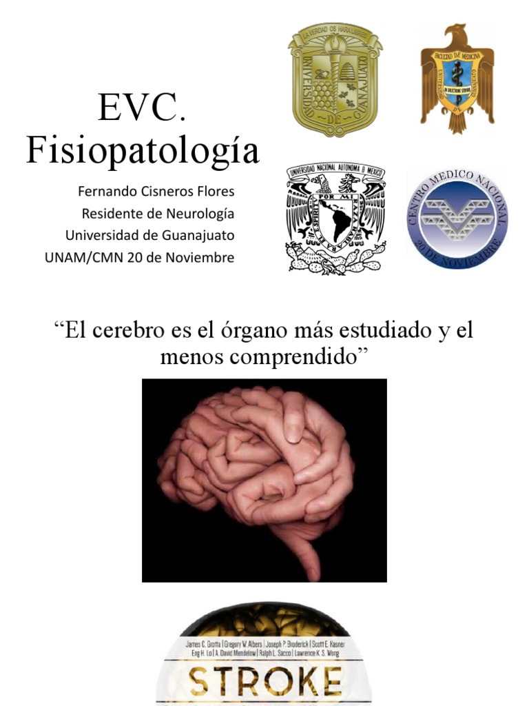 Fisiopatología del EVC Isquémico | PDF | Trombo | Plaqueta