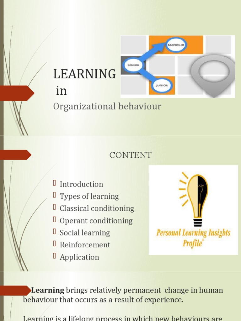 Organizational Learning Insights | PDF