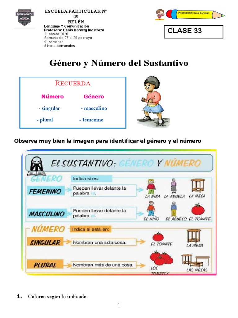 Clase 33 Género y Número Del Sustantivo | PDF