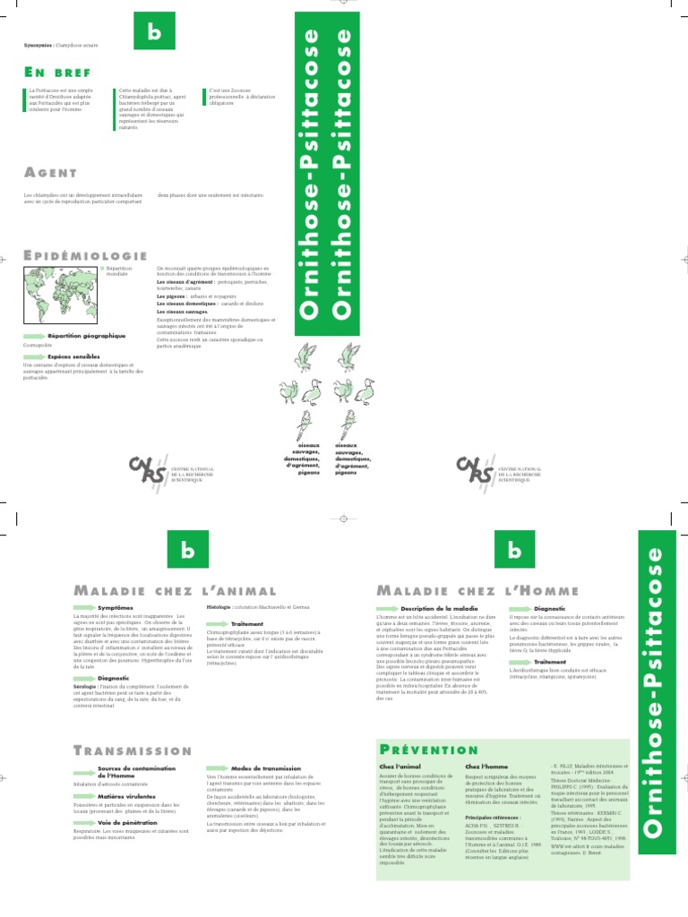 Ornithose-Psittacose : Symptômes et Traitement | PDF | Médecine ...
