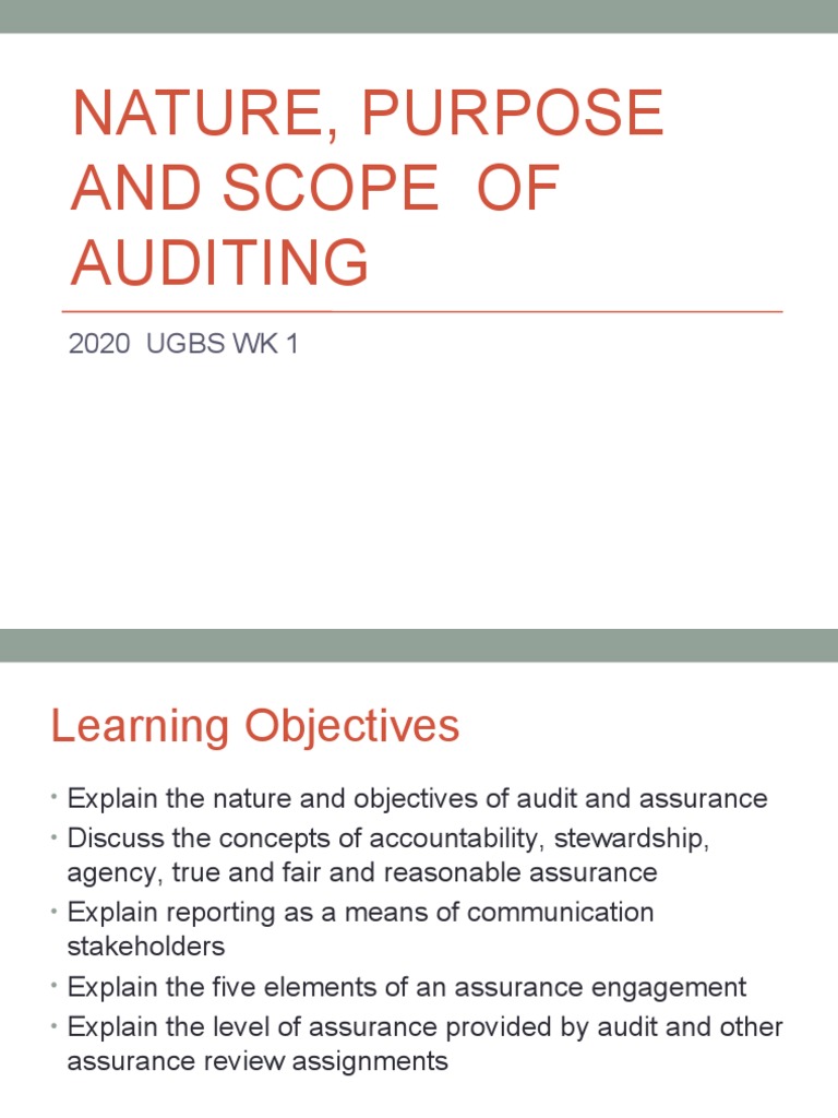 Auditing Essentials for Professionals | PDF | Audit | Financial Statement