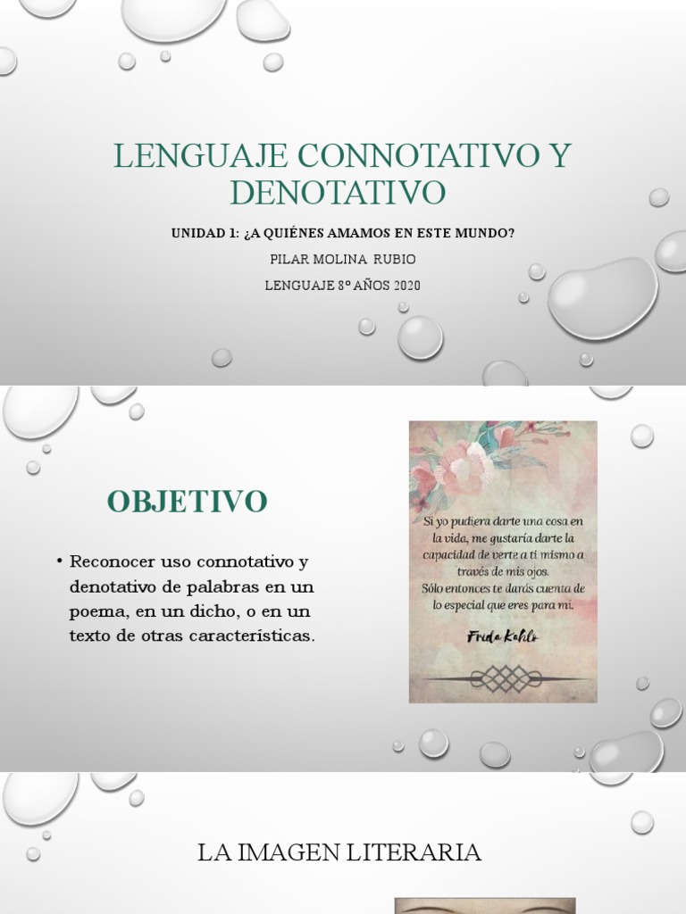 Lenguaje Connotativo y Denotativo | PDF
