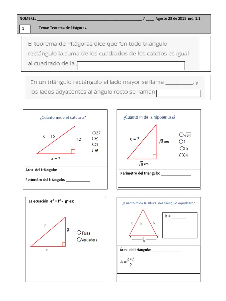 Teorema de Pitágoras y Perímetros | PDF