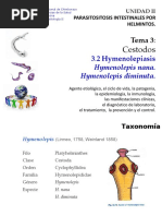 Retortamonas Intestinalis | PDF | Especialidades Medicas | Microbiología