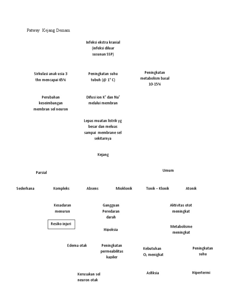 WOC Kejang Demam | PDF