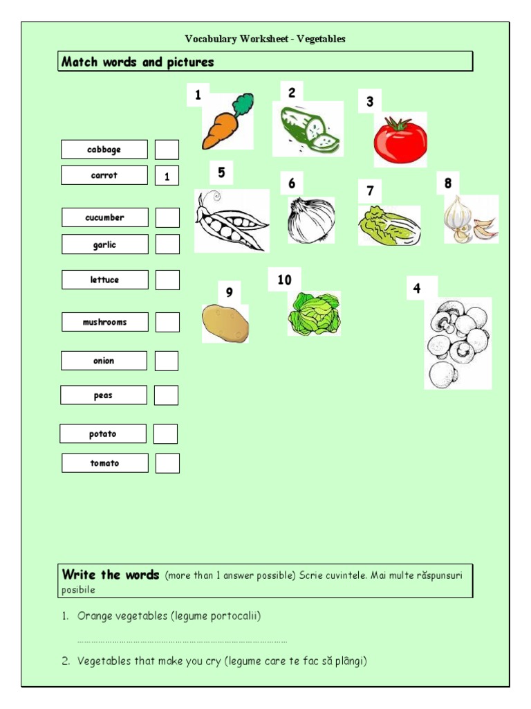 Match Words and Pictures 1 3 2: Vocabulary Worksheet - Vegetables | PDF