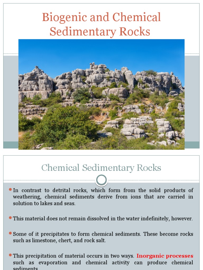 Sedimentology | PDF | Limestone | Sedimentary Rock