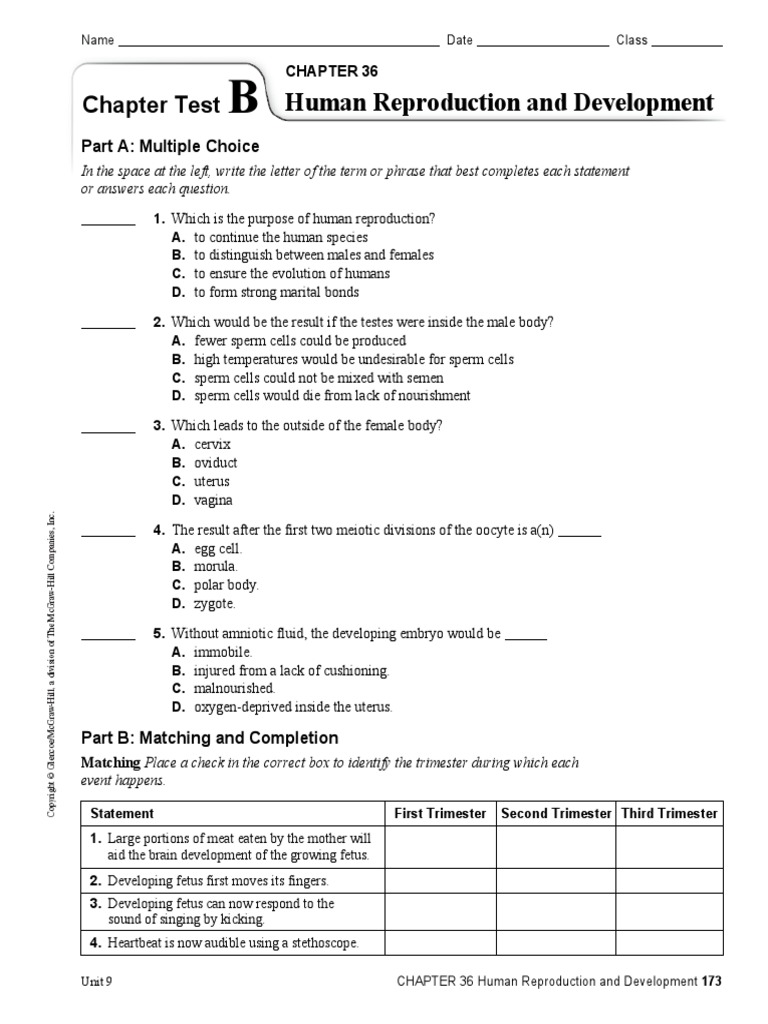 Human Reproduction and Development: Chapter Test | PDF | Human ...