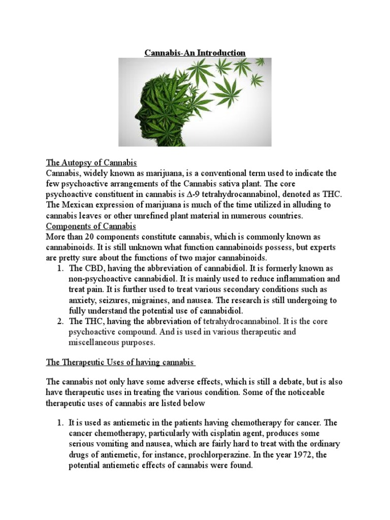 Cannabis-An Introduction | PDF | Medical Cannabis | Cannabis (Drug)
