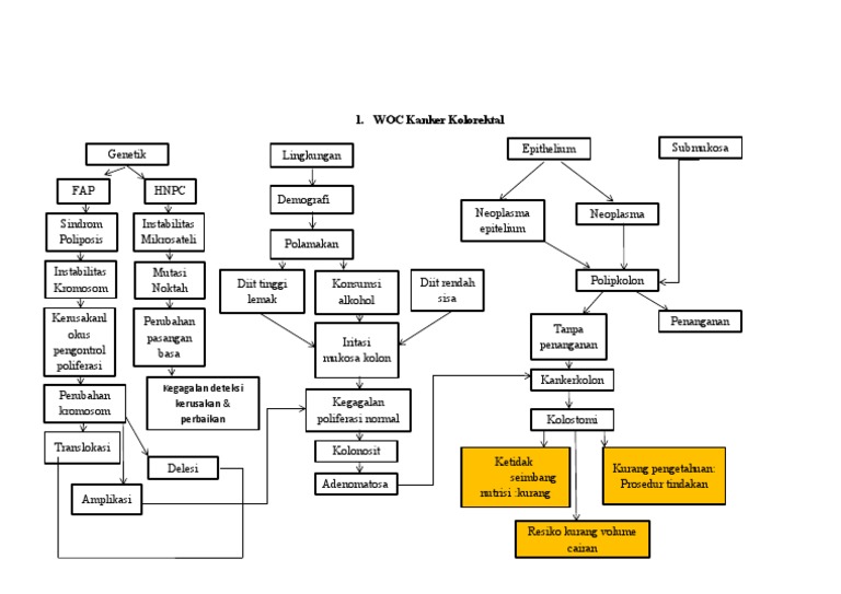 WOC Kanker Kolorektal | PDF