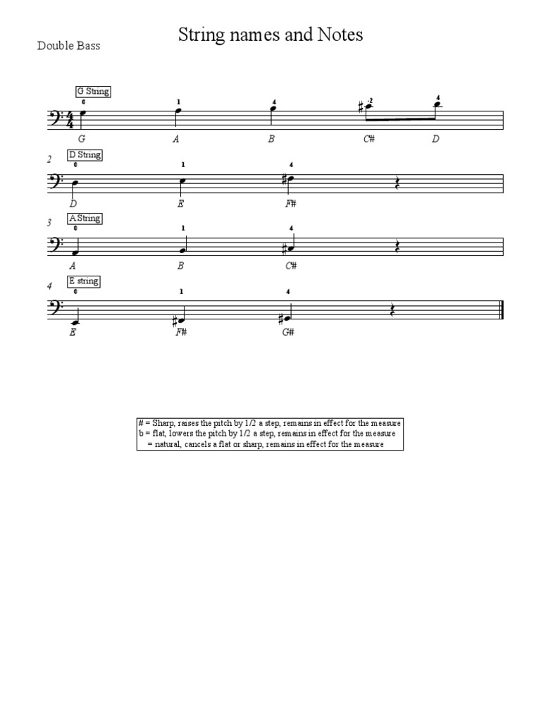 String Note Names Bass | PDF
