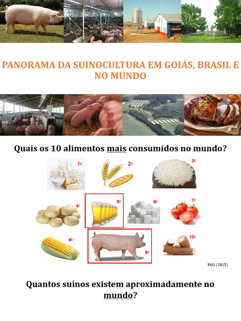 Panorama Da Suinocultura em Goiás, Brasil e No Mundo | PDF | Indústrias ...