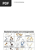 FDA BAM Chapter 12: Staphylococcus aureus | PDF | Foodborne Illness ...