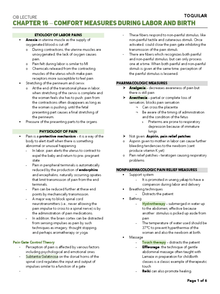 Chapter 16 - Comfort Measures During Labor and Birth: Ob Lecture | PDF ...