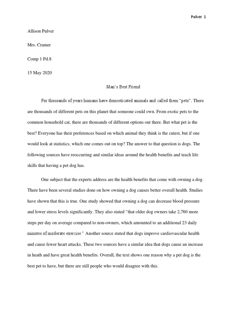 Argumentative Essay | PDF | Pet | Dogs