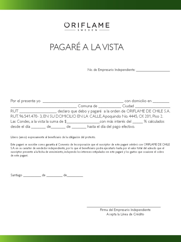 Pagare Chile 26 | PDF