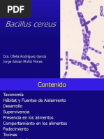 Guía de Detección de Bacillus cereus | PDF | Bacilo | Enfermedades transmitidas por alimentos